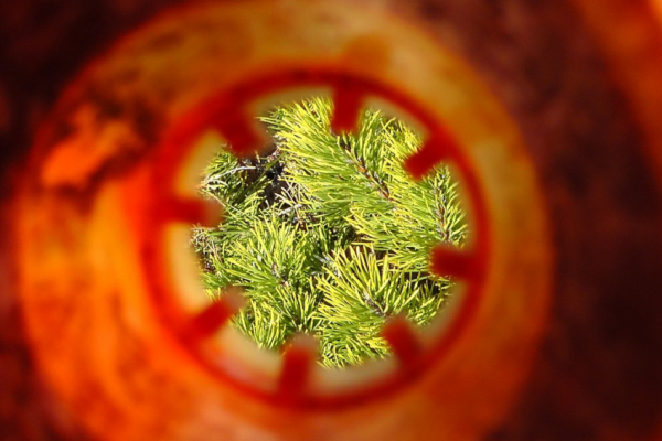 Visual field loss and scotoma a Retinal Degeneration symptom